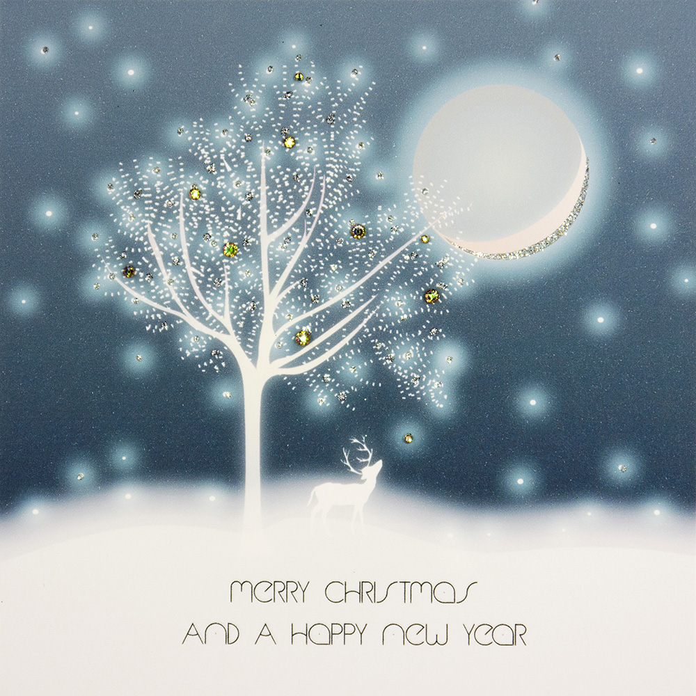 Merry Christmas & A Happy New Year – Handmade Open Christmas Card / WS6 ...